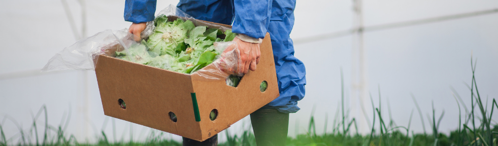 Croptracker - Starch Quality Vision